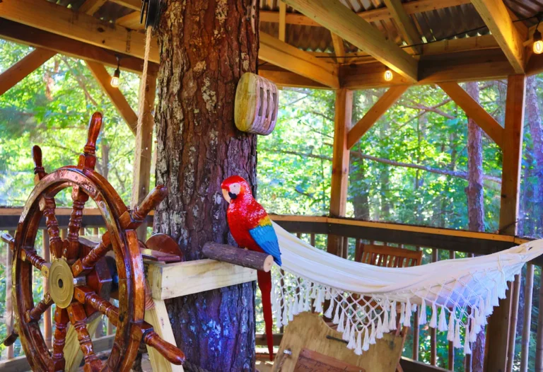 Exploring the Best 18 Treehouse Cabins in and near Atlanta