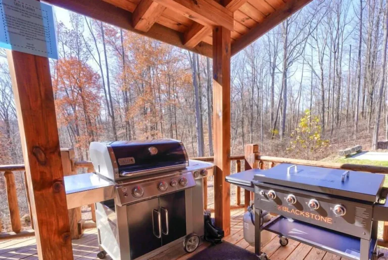 Unique Treehouse Cabins in Hocking Hills ( in 2024 )
